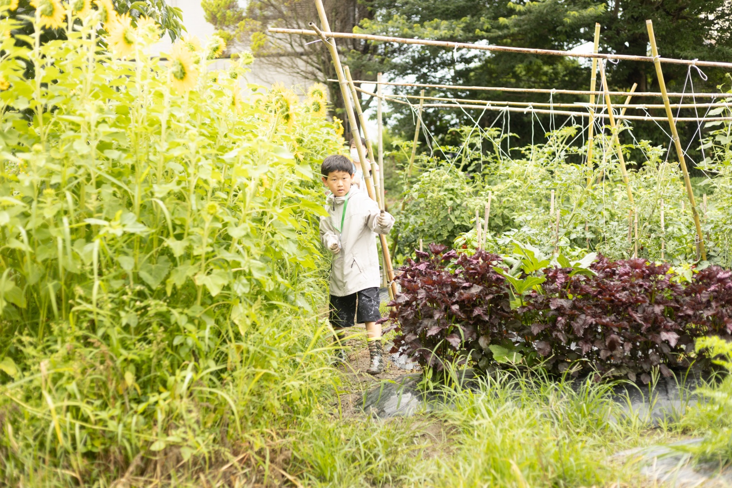 6月23日 | 写真共有サービス 30days Album