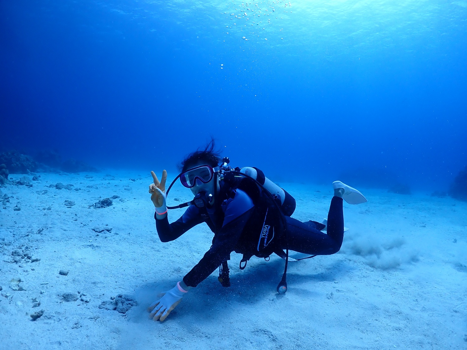 2020.10.14ピンカー体験ダイブ＆スノ | 写真共有サービス 30days Album