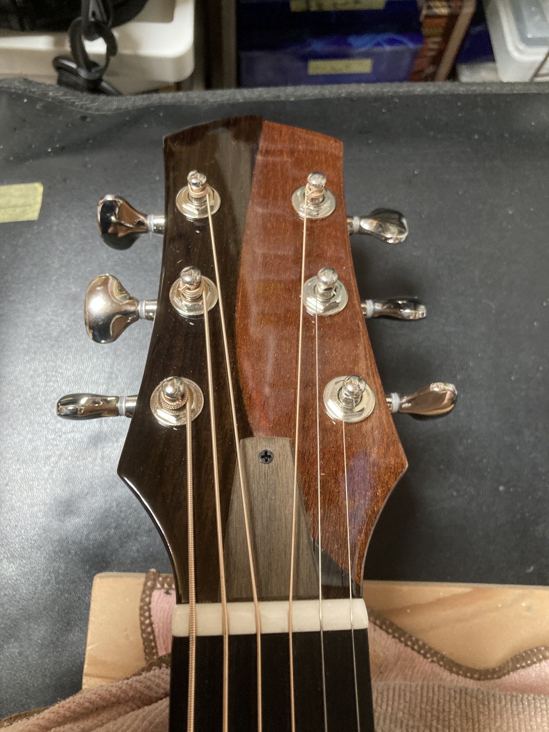 2023.6.7 Berg Guitar A5C | 写真共有サービス 30days Album