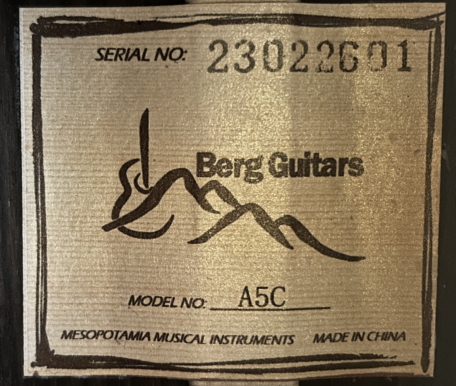 2025.2.25 Berg Guitar A5C