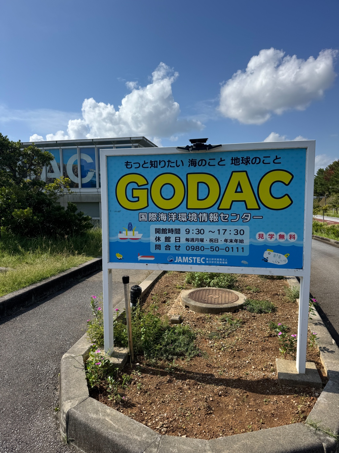 318 251101（ネコクラブM）GODAC