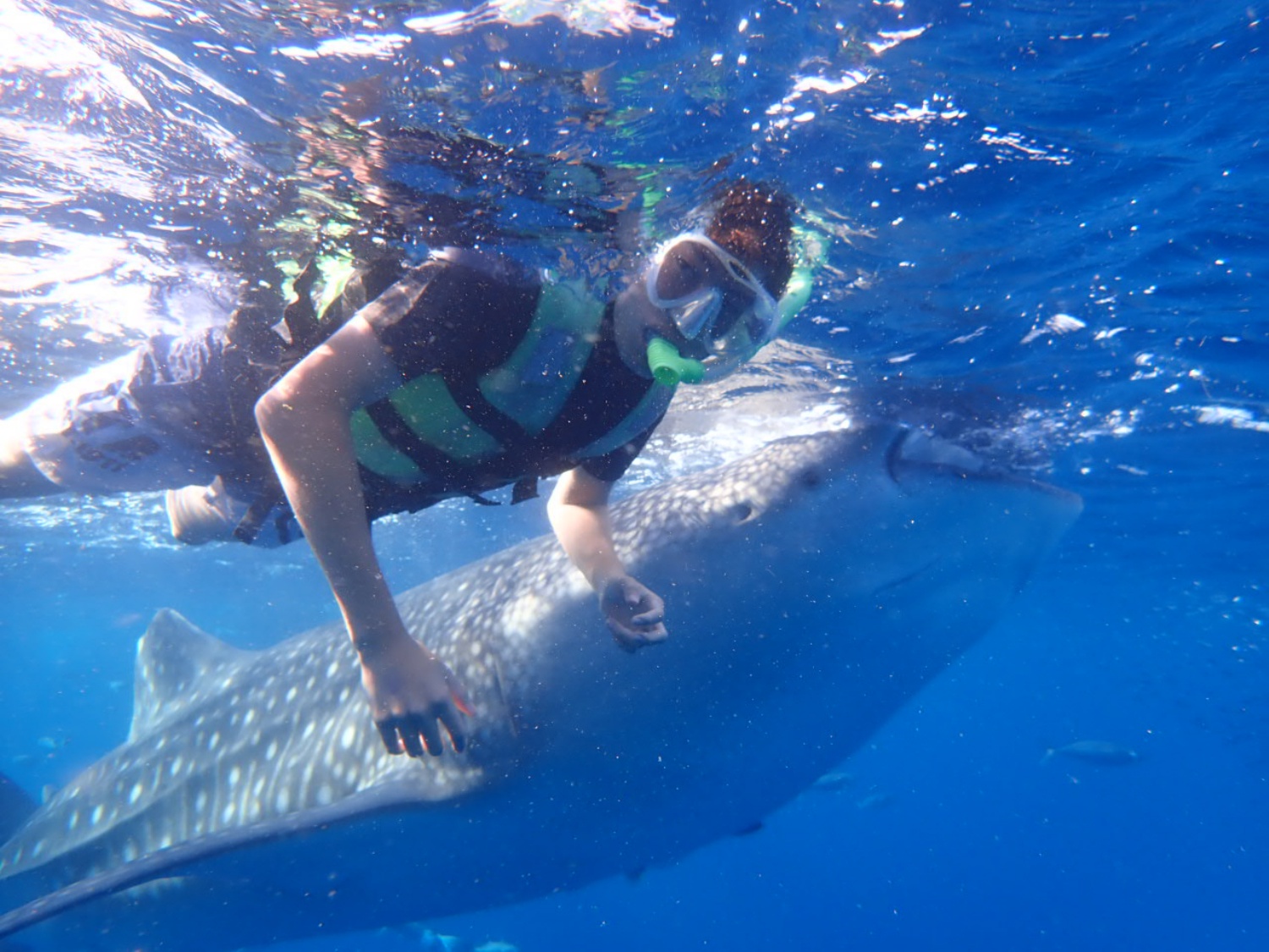 24/08/12 OM Noel | 写真共有サービス 30days Album