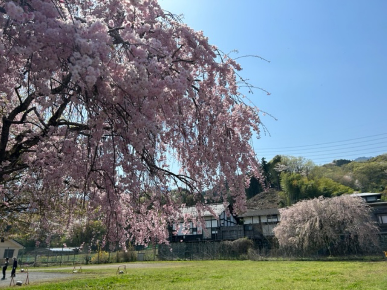 江戸巡礼古道ウォーク番外編 | 写真共有サービス 30days Album